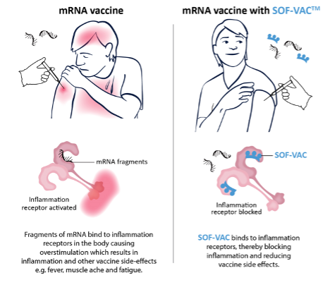 Technology | Noxopharm